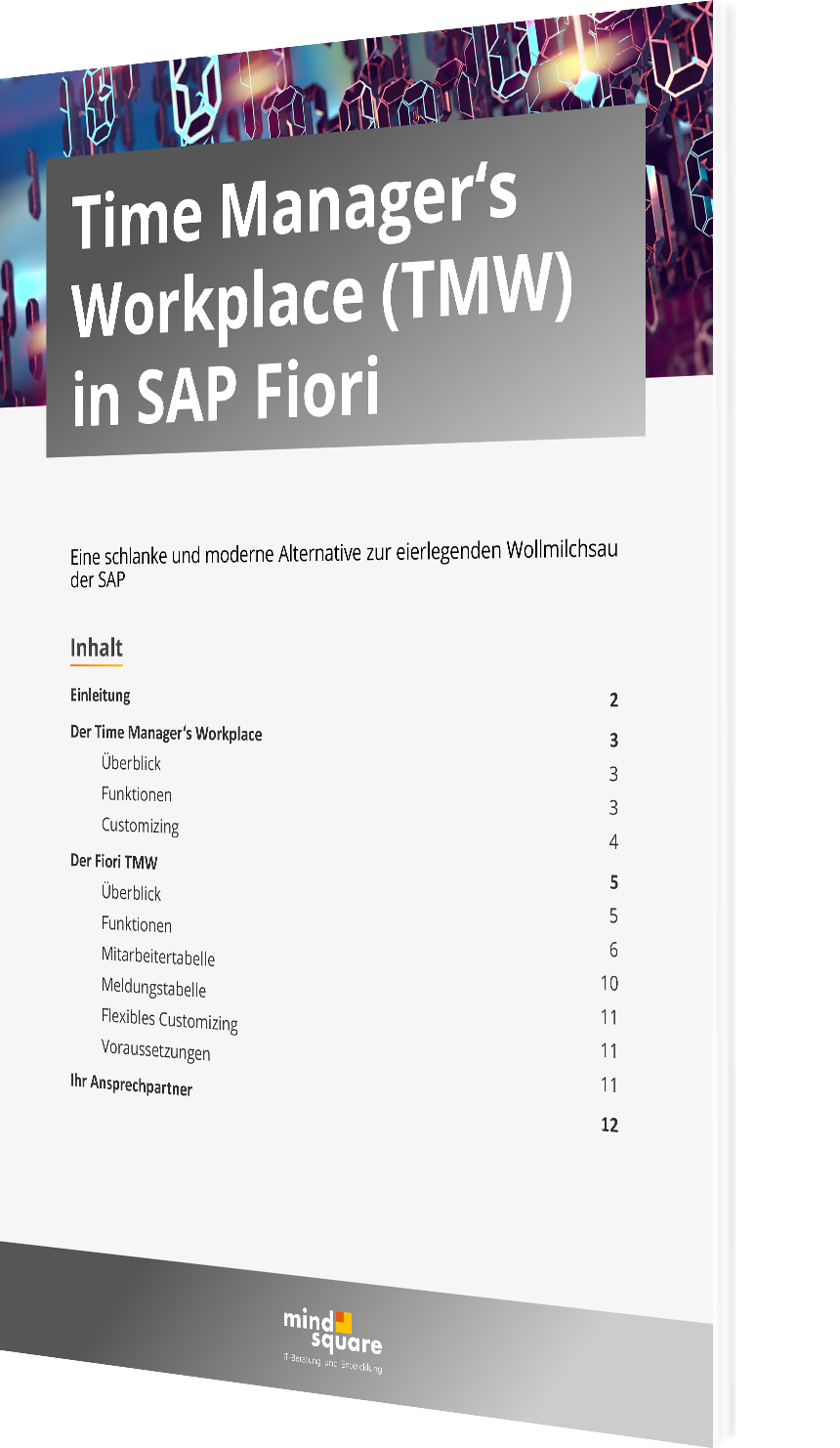 Time Manager’s Workplace (TMW) in SAP Fiori