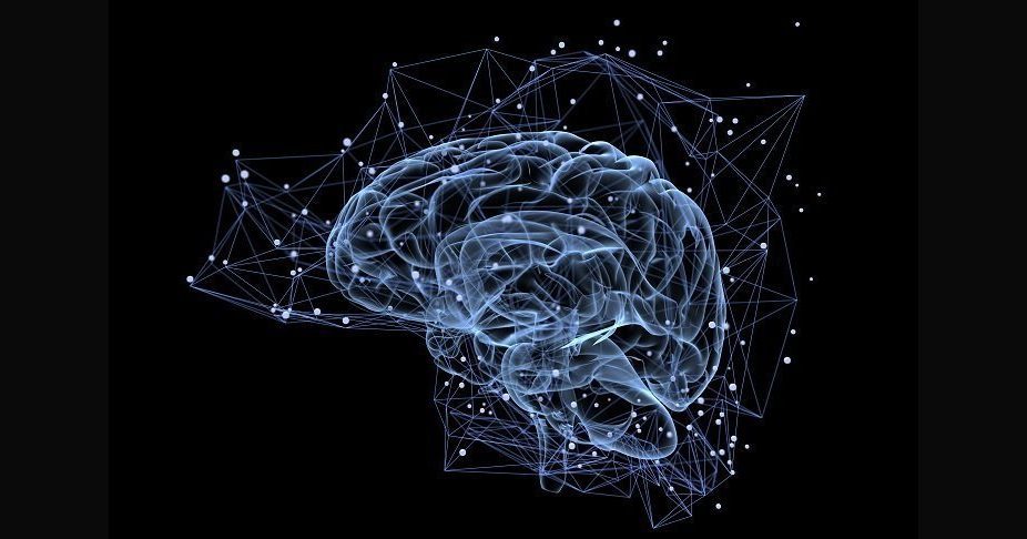 Google AI in der Übersicht | Grundlagen & Anwendungen