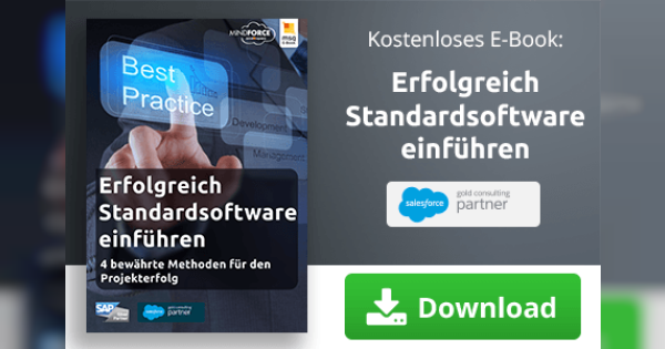 Erfolgreich Standardsoftware einführen | mindsquare