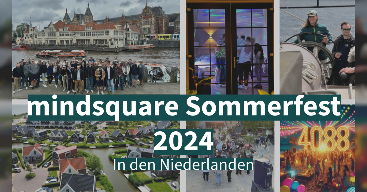 This is Holland: mindsquare "Zomerfeest" 2024 in den Niederlanden | mindsquare