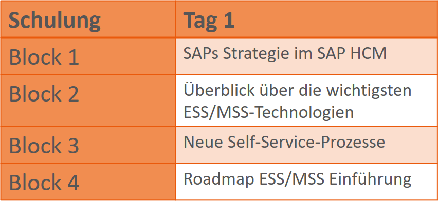 SAP ESS/MSS Schulung Überblick | mindsquare