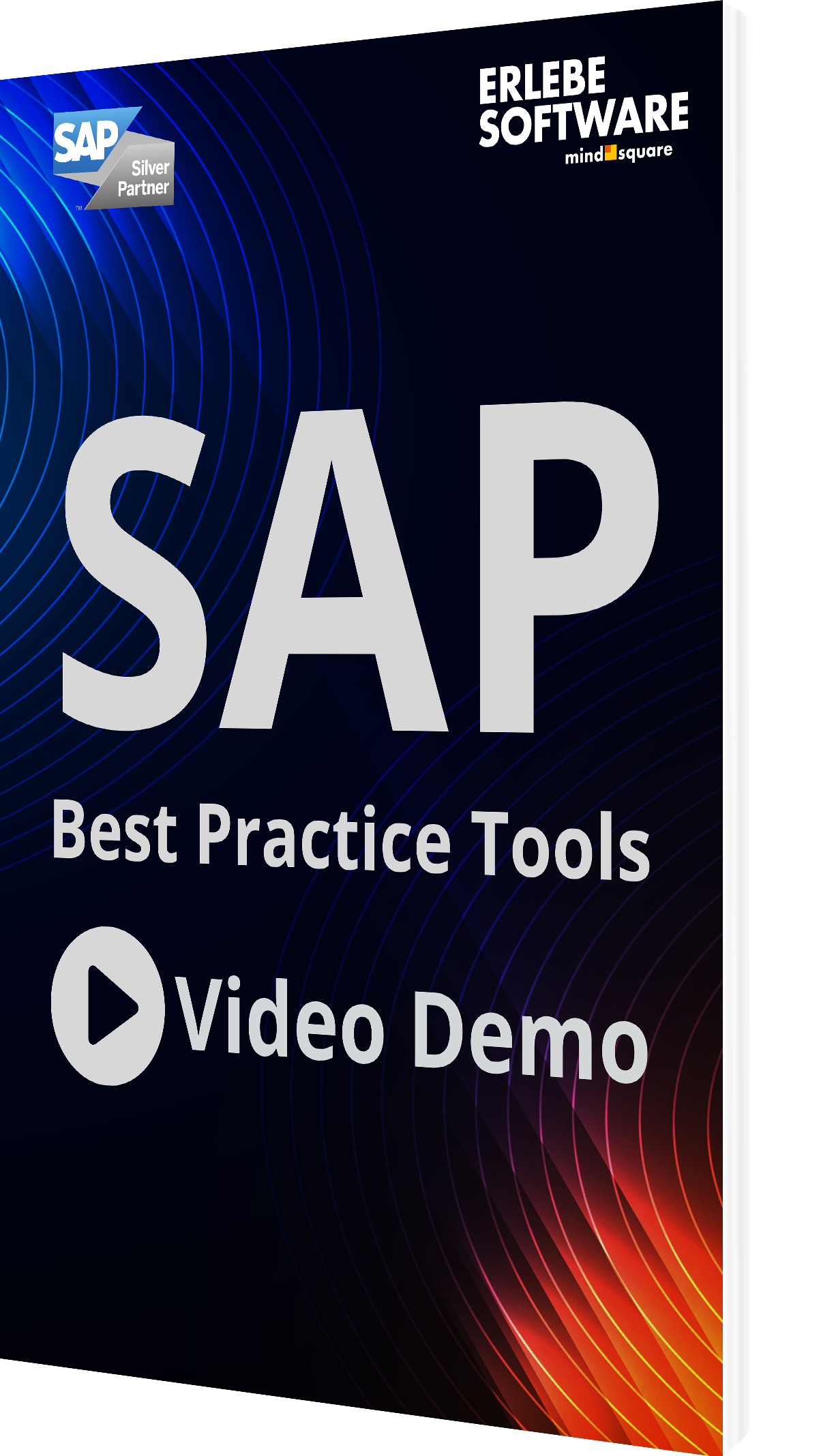 SAP Best Practice Tools [Video Demo] | Erlebe Software