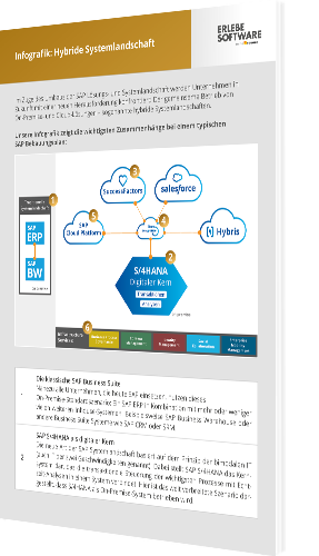 Infografik: Hybride Systemlandschaft - Erlebe Software - Individuelle ...
