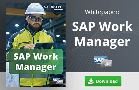 Whitepaper: SAP Work Manager | RZ10
