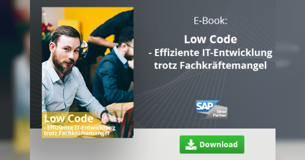 E-Book Low Code | Erlebe Software